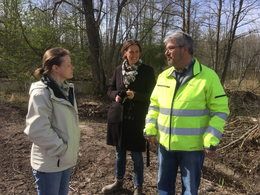 Vattnet påsläppt på Lindbomossen - Sydnärkenytt