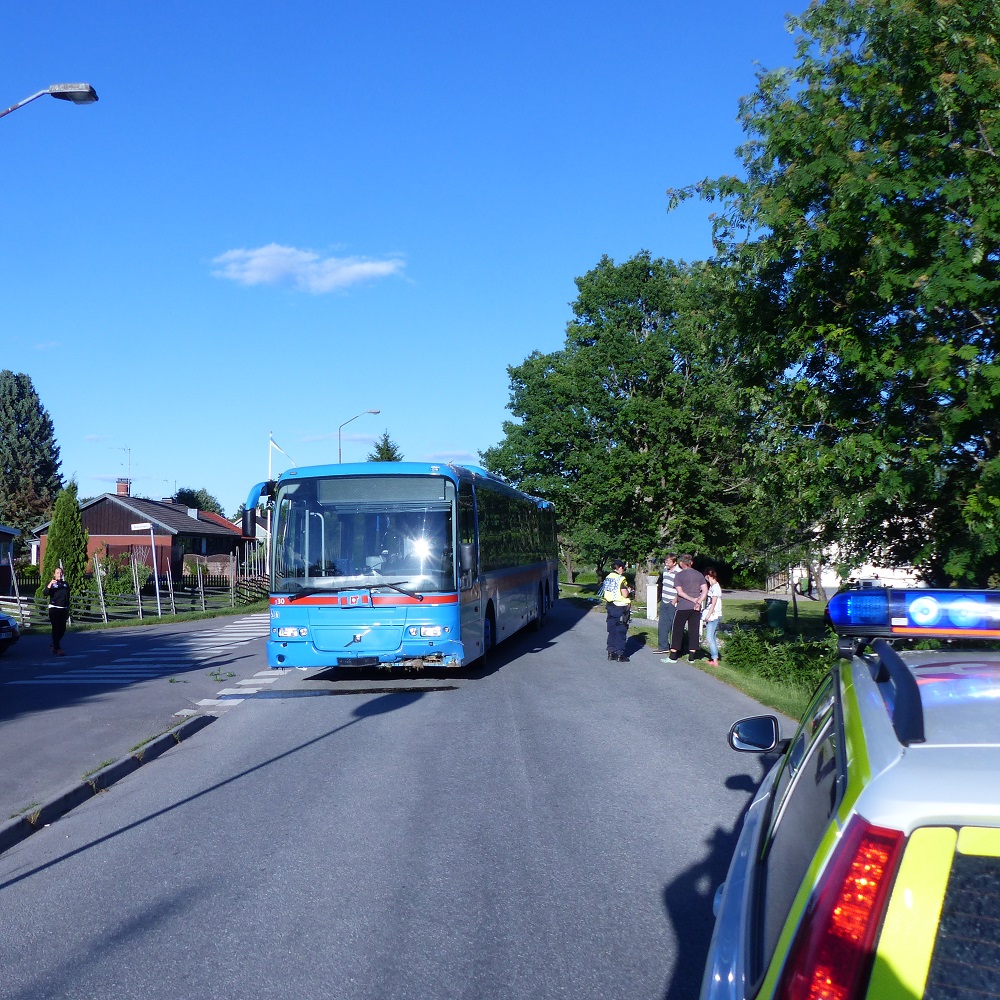 Buss in i trädgård - Sydnärkenytt