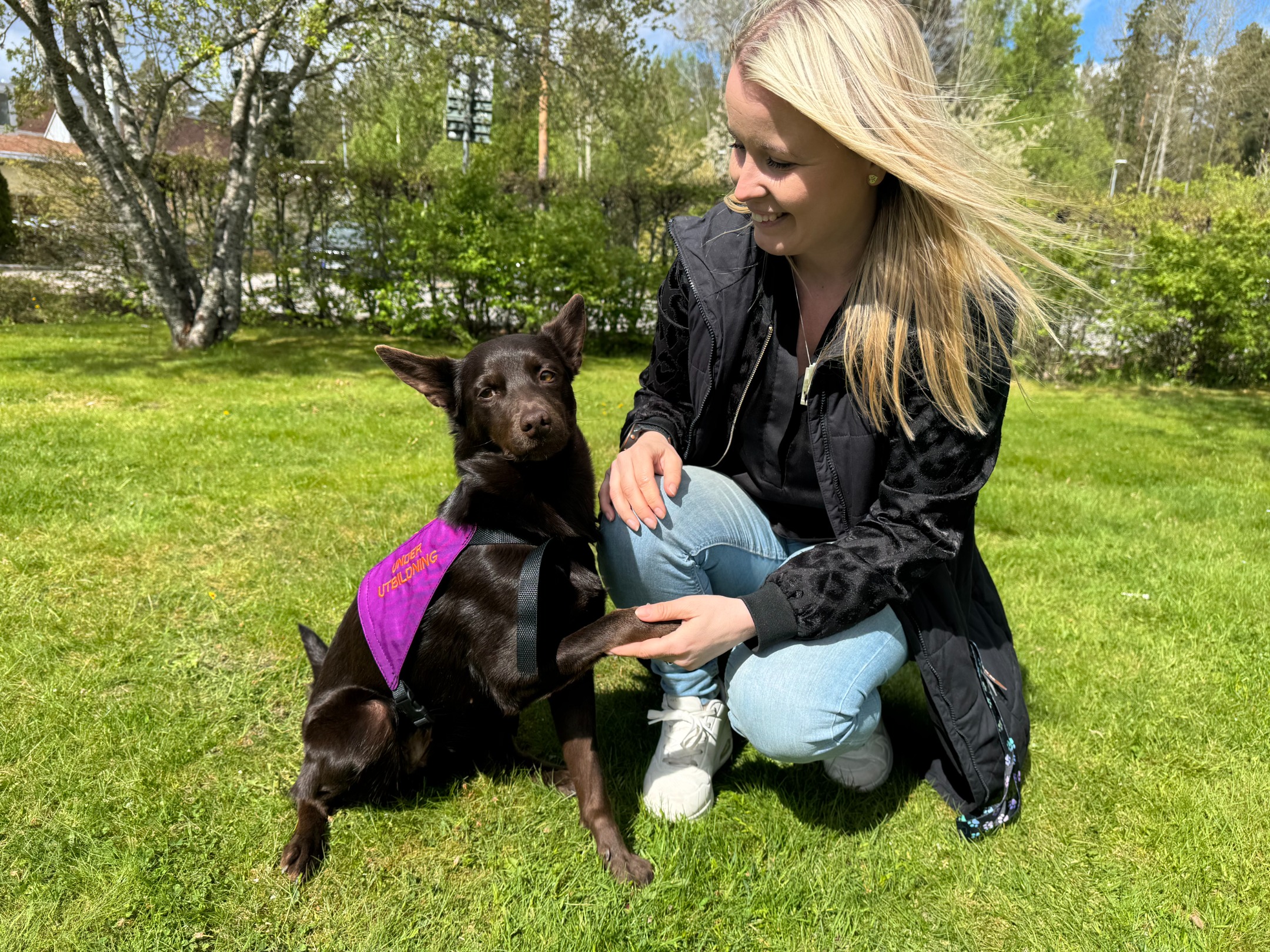 Hunden Hera hjälper skolbarn i Kumla - Sydnärkenytt
