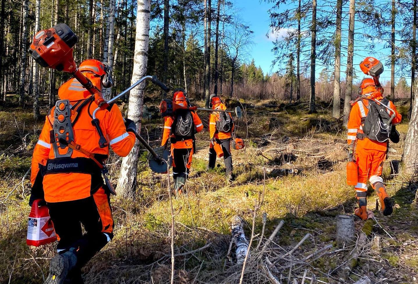 Högre löner för arbetskraftsinvandrare oroar inte Sydnärkeföretagare ...