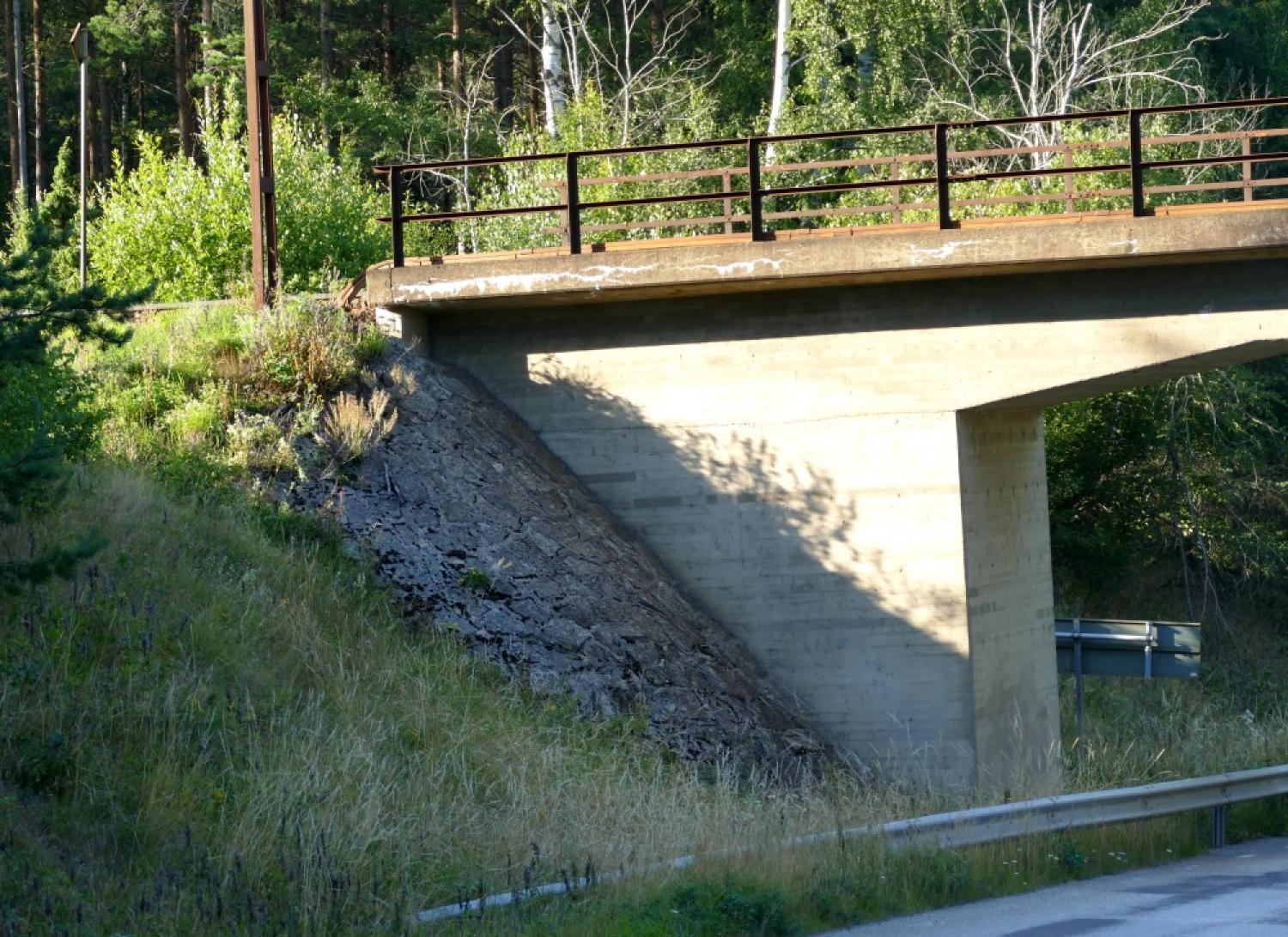 Bro på plats vid dammar - Sydnärkenytt