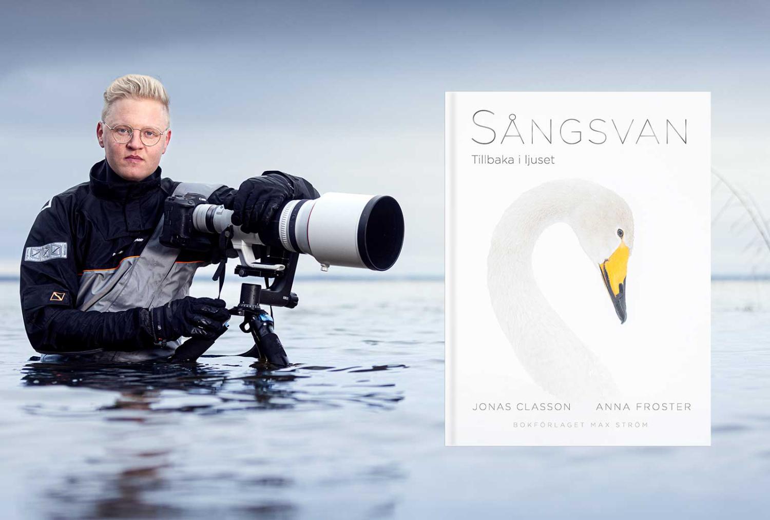 Välkänd Kumlafotograf berättar om sångsvanens återkomst - Sydnärkenytt